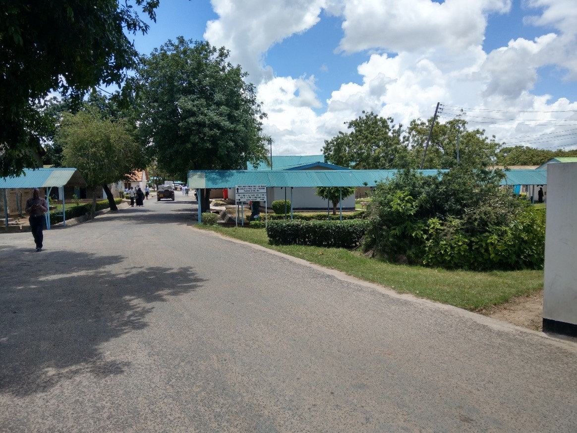 Dodoma Regional Referral Hospital (Tz) - SWIFTSS