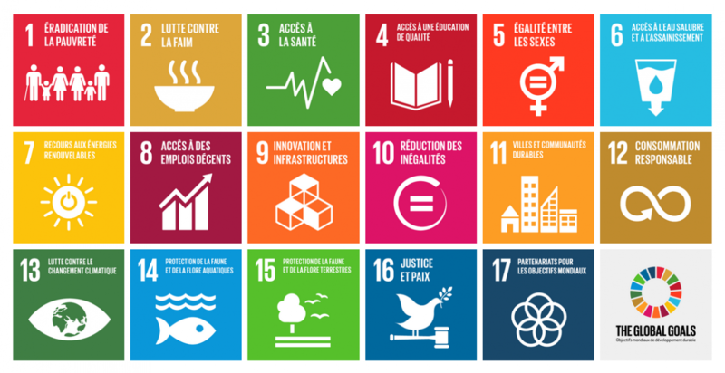 UN Global Goals - SWIFTSS
